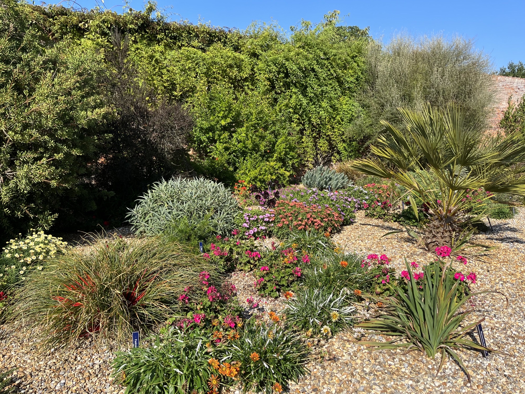 Oasis Felbrigg Friday – oasis norfolk